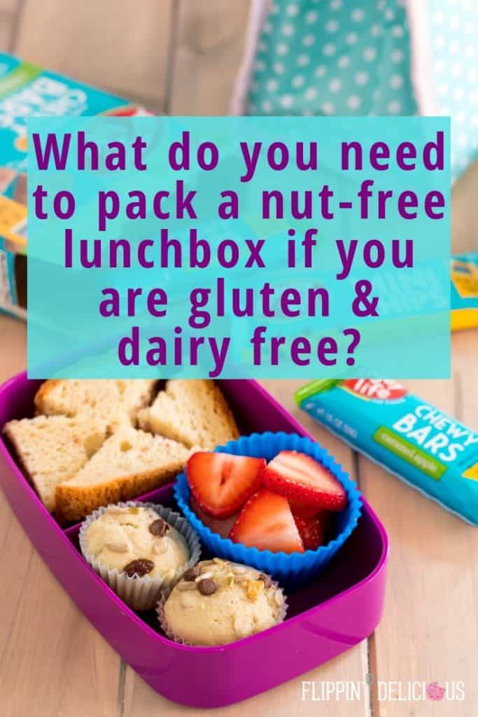 Nut Free Lunch Ideas for gluten free and dairy free families - Flippin ...